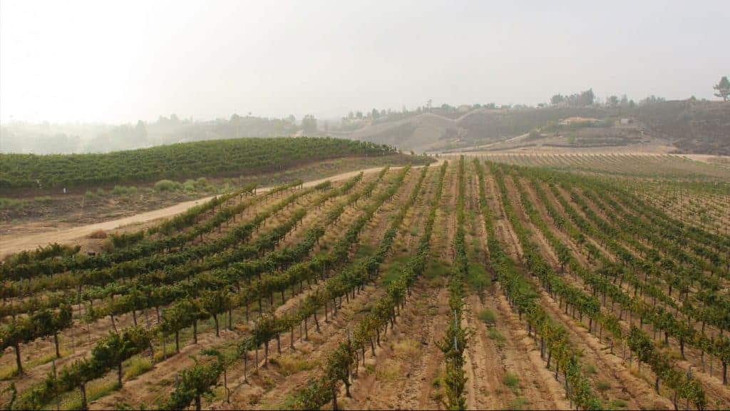 Mendocino County AVAs and Wine Regions – Mendocino Winegrowers Inc