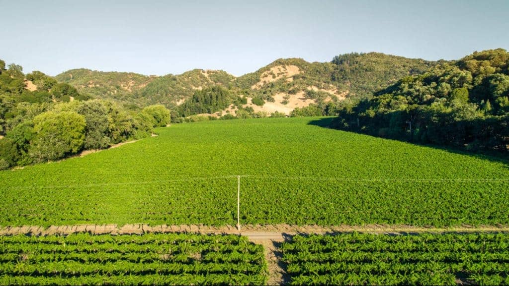 Mendocino County AVAs and Wine Regions – Mendocino Winegrowers Inc